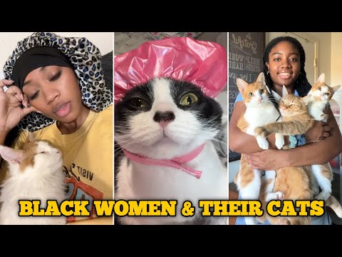 Black Women & Their Cats | Funny TikTok Compilation 2025 #catlovers #cat #cats