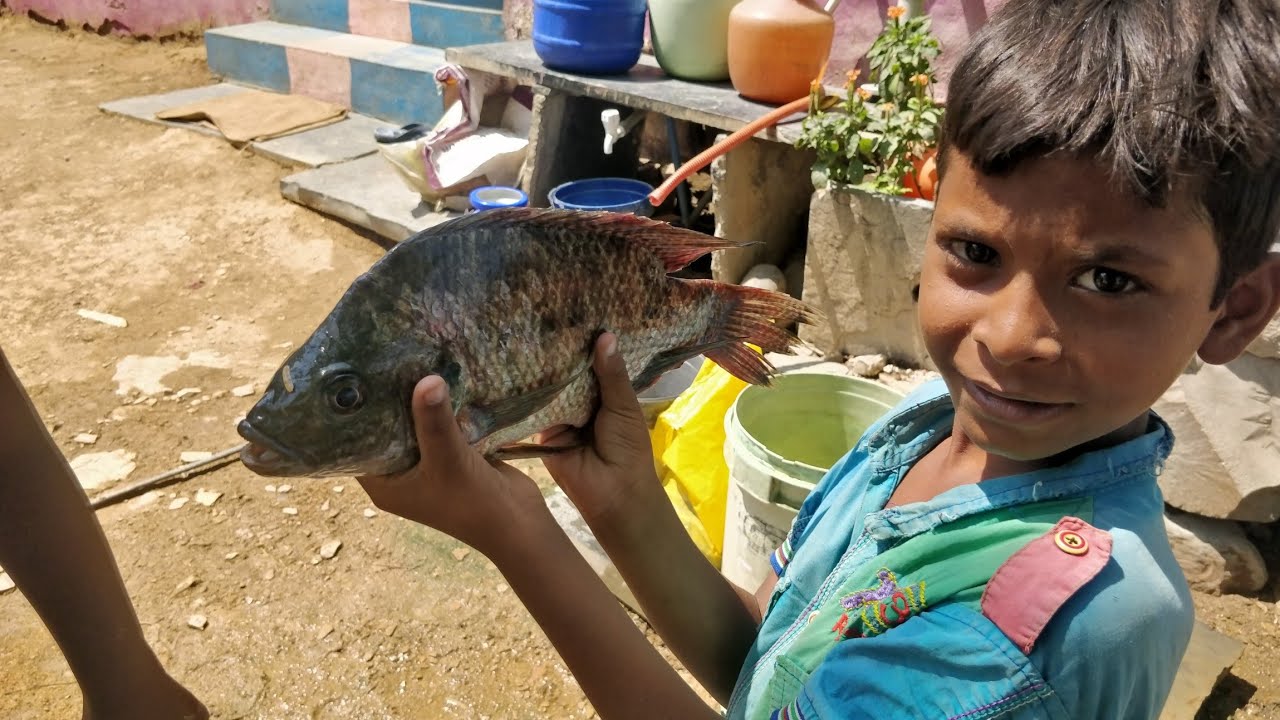 Fish amino acid preparation using/in waste decomposer. - YouTube