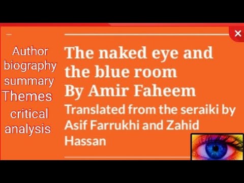 The Naked Eye and The Blue Room by Amir Faheem translated siraki by Asif Farrukhi and Zahid ...