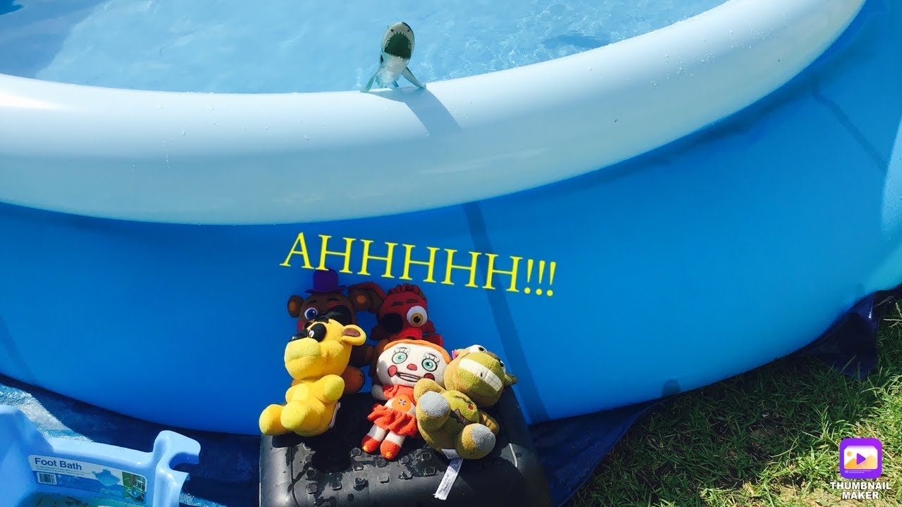 Shark In The Pool - YouTube