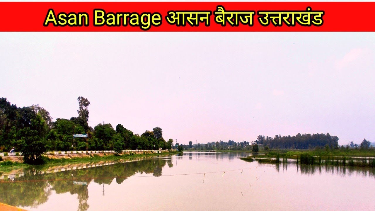 ASAN BARRAGE आसन बैराज उत्तराखंड Bird sanctuary | Dakpathar Dehradun ...