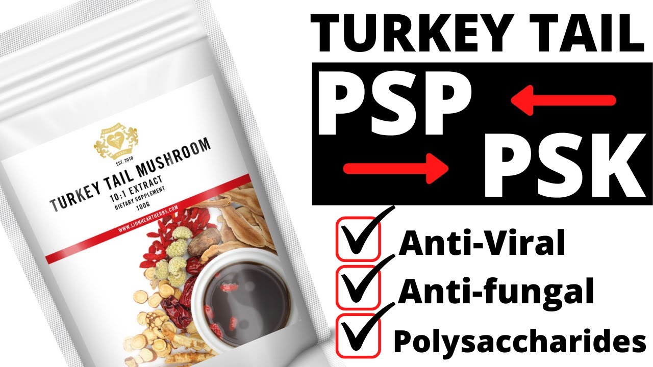 Turkey Tail Mushroom: PSP and PSK. Powerful Polysaccharides. Immune ...