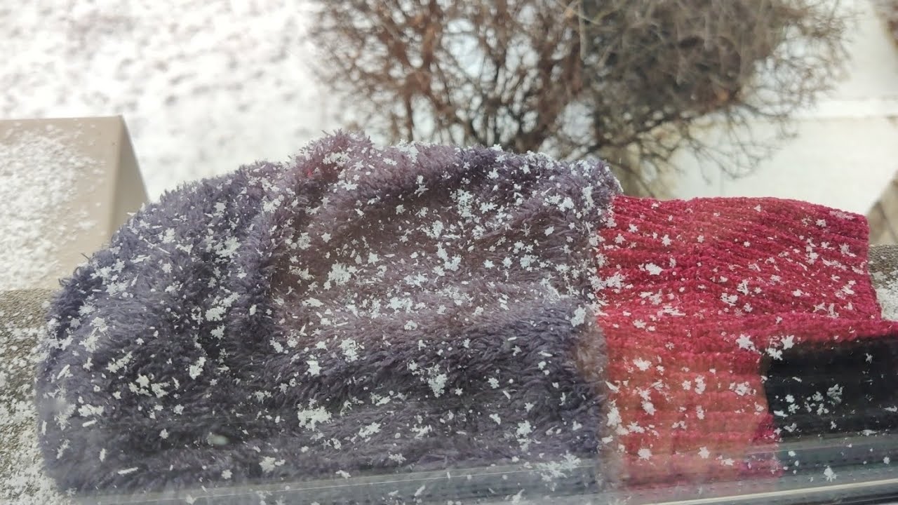 12 𝙁𝙚𝙗 2024 𝙀 𝙇𝙚𝙖𝙧𝙣𝙞𝙣𝙜 𝘿𝙖𝙮 𝙞𝙣 𝘼𝙢𝙚𝙧𝙞𝙘𝙖 𝙇𝙚𝙩'𝙨 𝙒𝙖𝙩𝙘𝙝 𝘿𝙞𝙛𝙛𝙚𝙧𝙚𝙣𝙩 𝙏𝙮𝙥𝙚𝙨 𝙎𝙣𝙤𝙬 ...