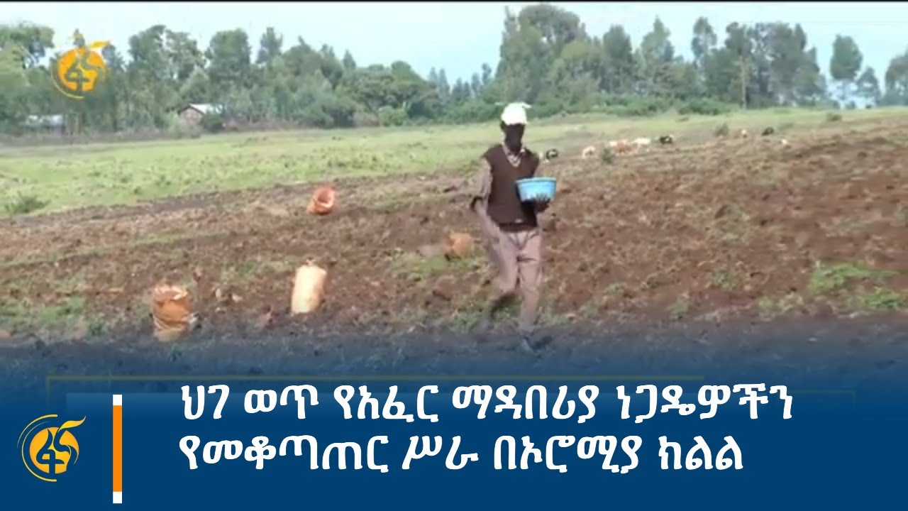 ህገ ወጥ የአፈር ማዳበሪያ ነጋዴዎችን የመቆጣጠር ሥራ በኦሮሚያ ክልል Youtube
