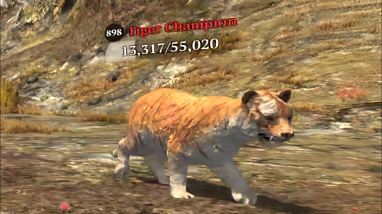 The Wolf - Tiger Champion In Featured Dark Forest 🏆 - YouTube