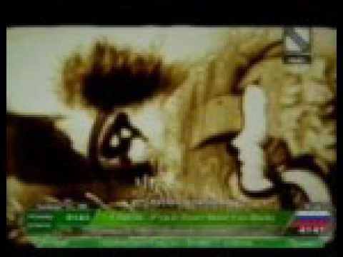 qumda menzere  yapmaq