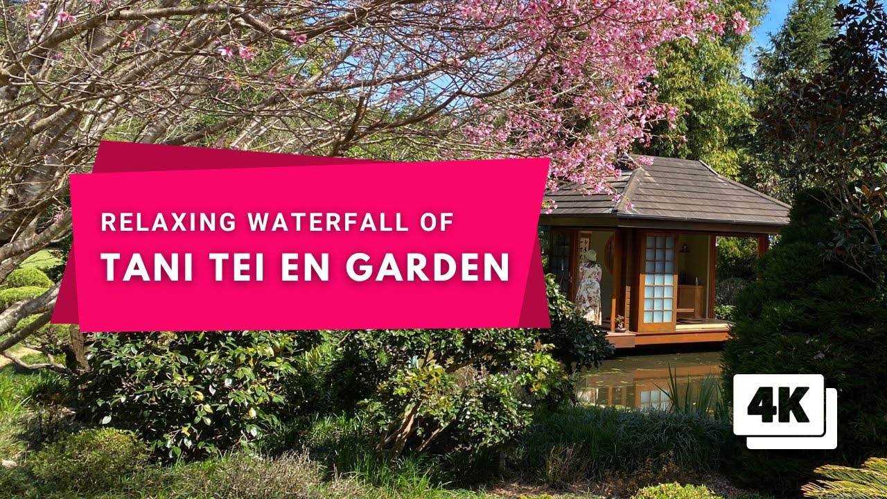 Relax With Me: Tani Tei En Japanese Garden Waterfall Sounds l 4K l Gold ...
