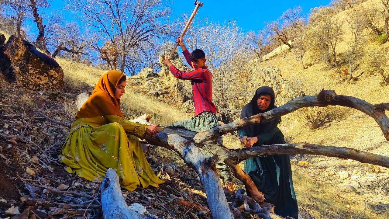 A nomadic family lives in the mountains of Iran, a hard life - YouTube