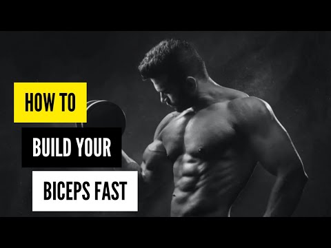 Best Exercises to Grow Biceps Fast 🔥 - YouTube