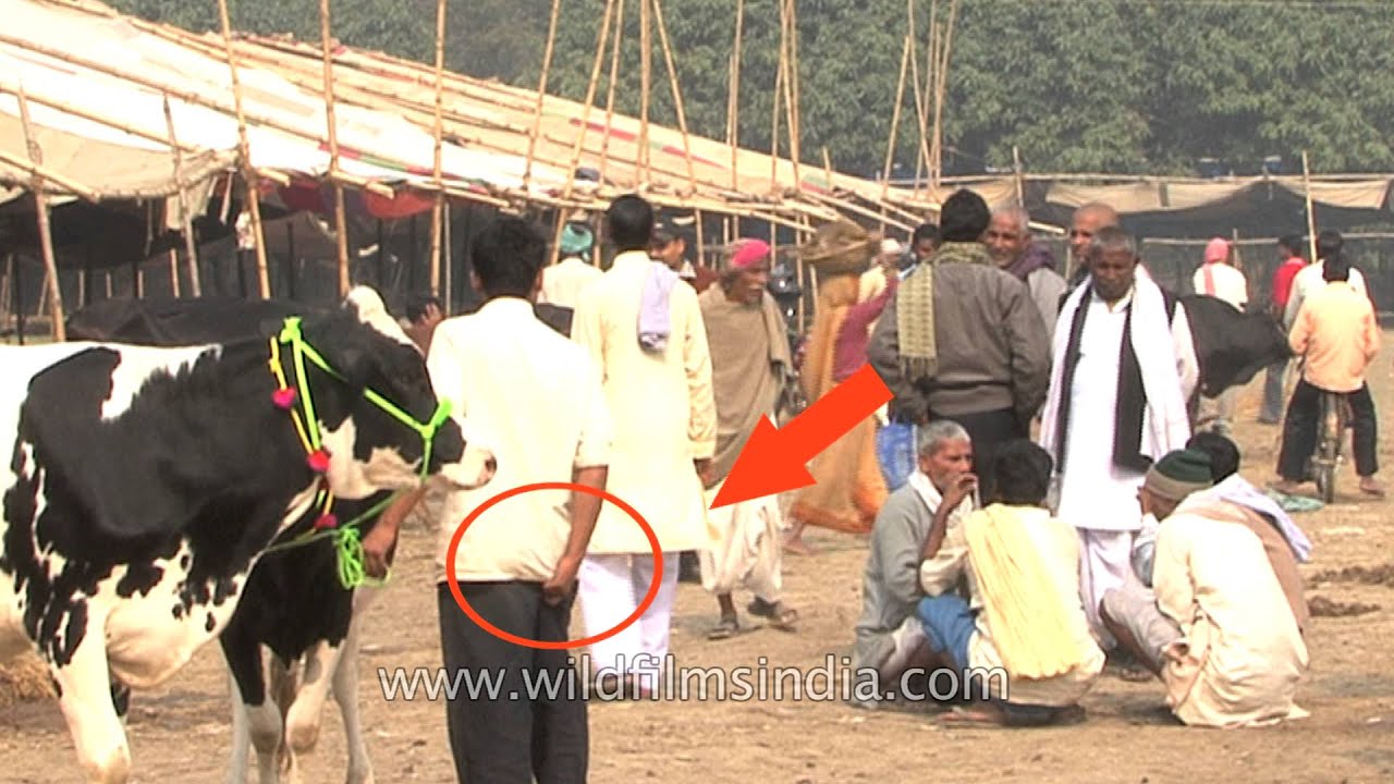 Scratching one's ass in public : Only in India - YouTube