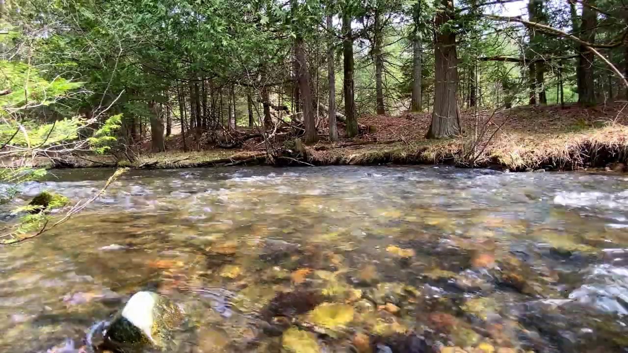 Daily River Relief - Day 34 - YouTube