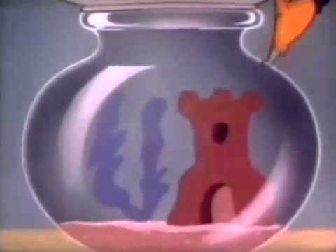 Looney Toons - Fin n Catty - YouTube