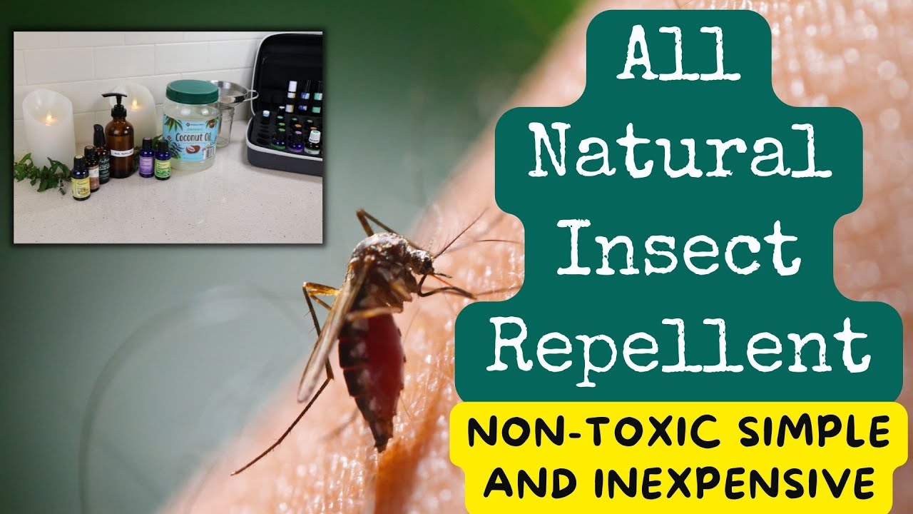 All-Natural Insect Repellant: Non-toxic Simple and Inexpensive # ...
