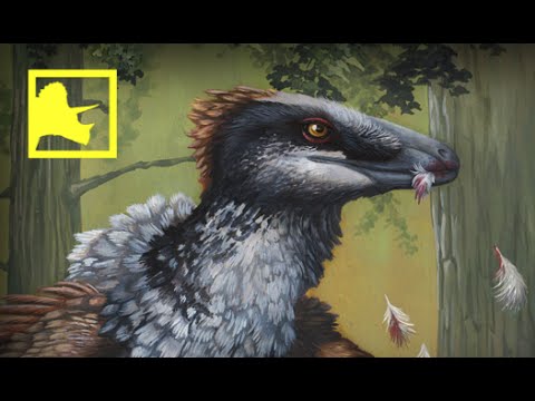 Giant Raptor discovered in South Dakota | Prehistoric News - YouTube