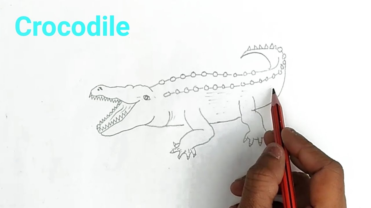 How To Draw A Crocodile || Very Easy Step 🐊 Drawing Painting 🖌️#virel # ...