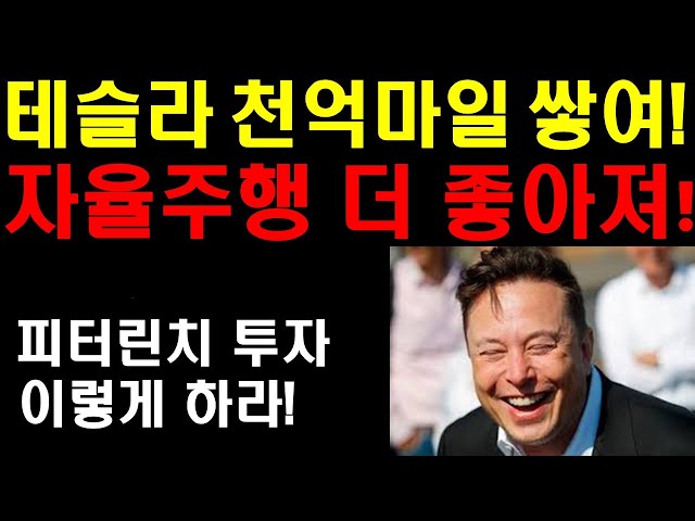 테슬라 천억마일 쌓여 자율주행 발전속도 어마어마하다 머스크의 기업들 재난속에 빛이 더나는 이유 테슬라 이미지 더 좋아져