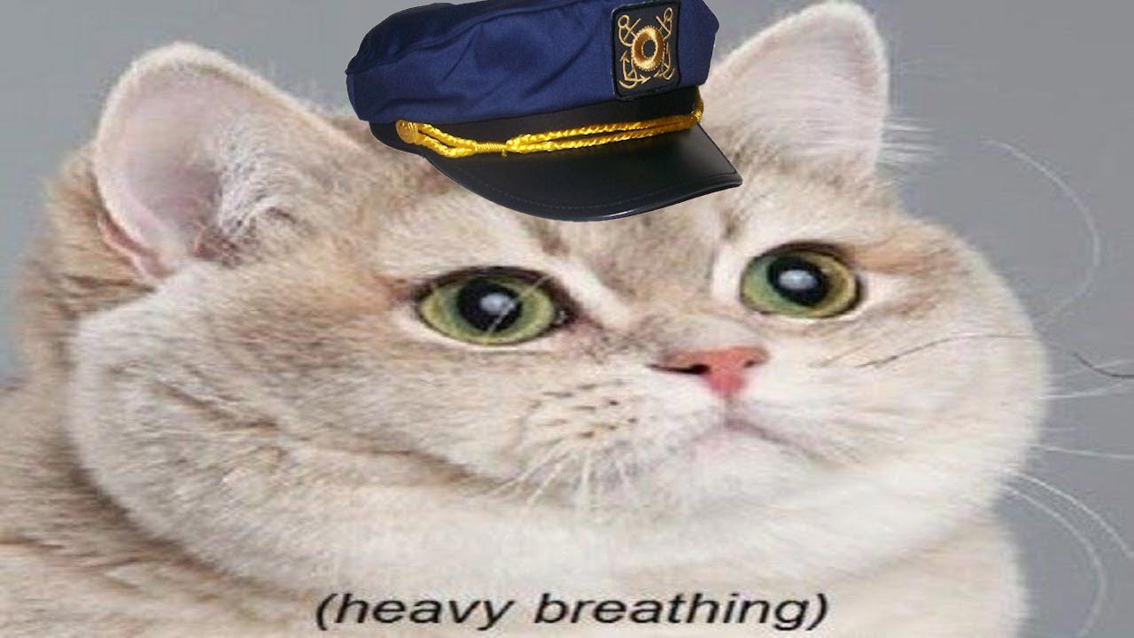 Captain Shnarf - YouTube