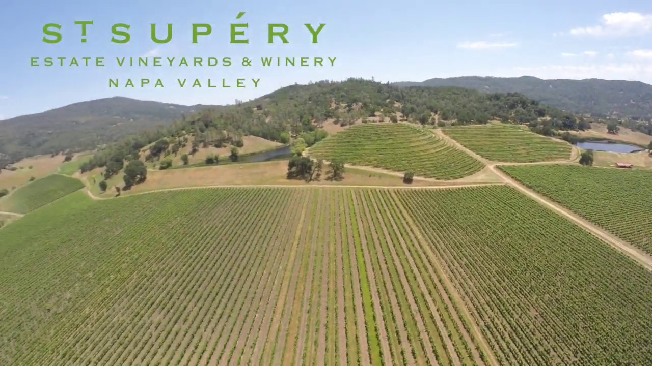 St. Supery Vineyards & Winery, Napa Valley. USA Vineyards and drone ...
