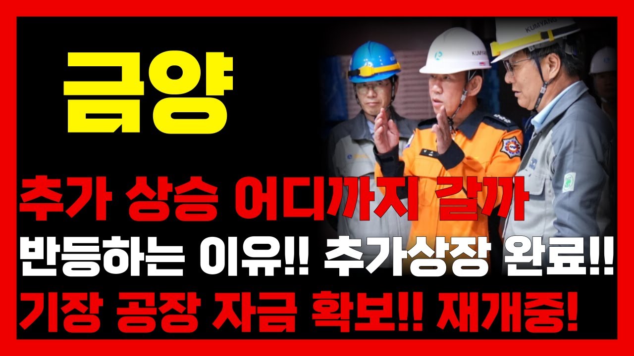 금양 주가전망 추가 상승 어디까지 갈까 반등하는 이유 추가상장 완료 기장 공장 자금 확보 재개중금양대응금양