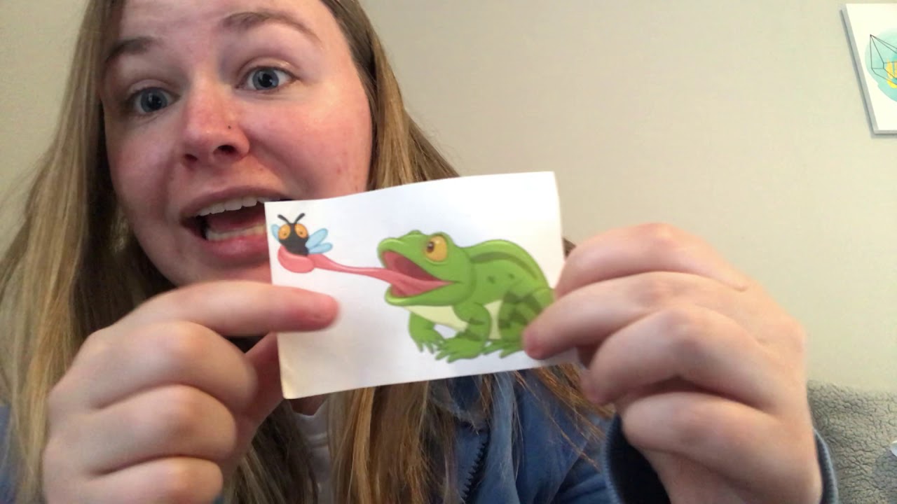 Describing pictures of frogs! - YouTube