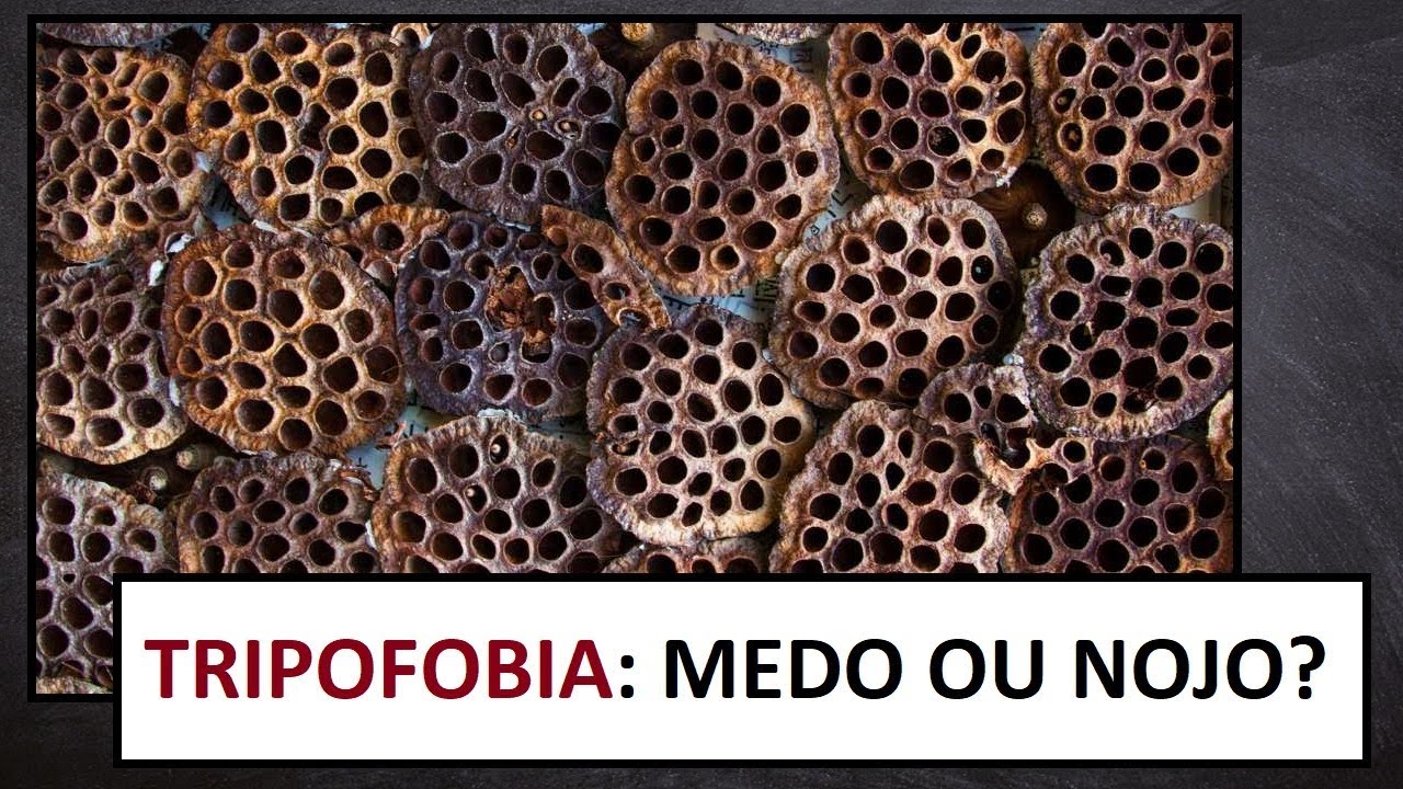 Definicao De Tripofobia