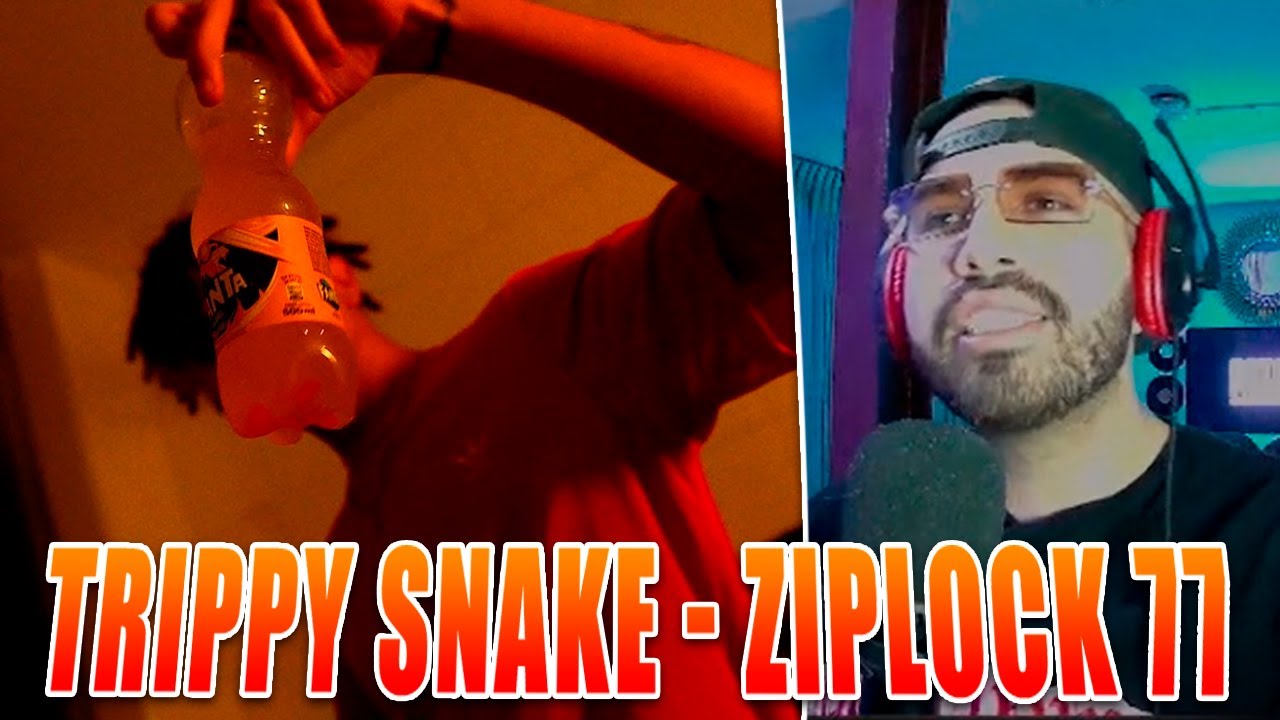 Trippy Snake - Ziplock 77 | REACCIÓN - YouTube