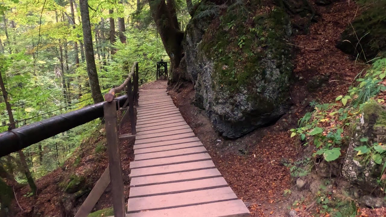 Traseu catre Cascada Urlatoarea, aflată la altitudinea de 1100m - YouTube