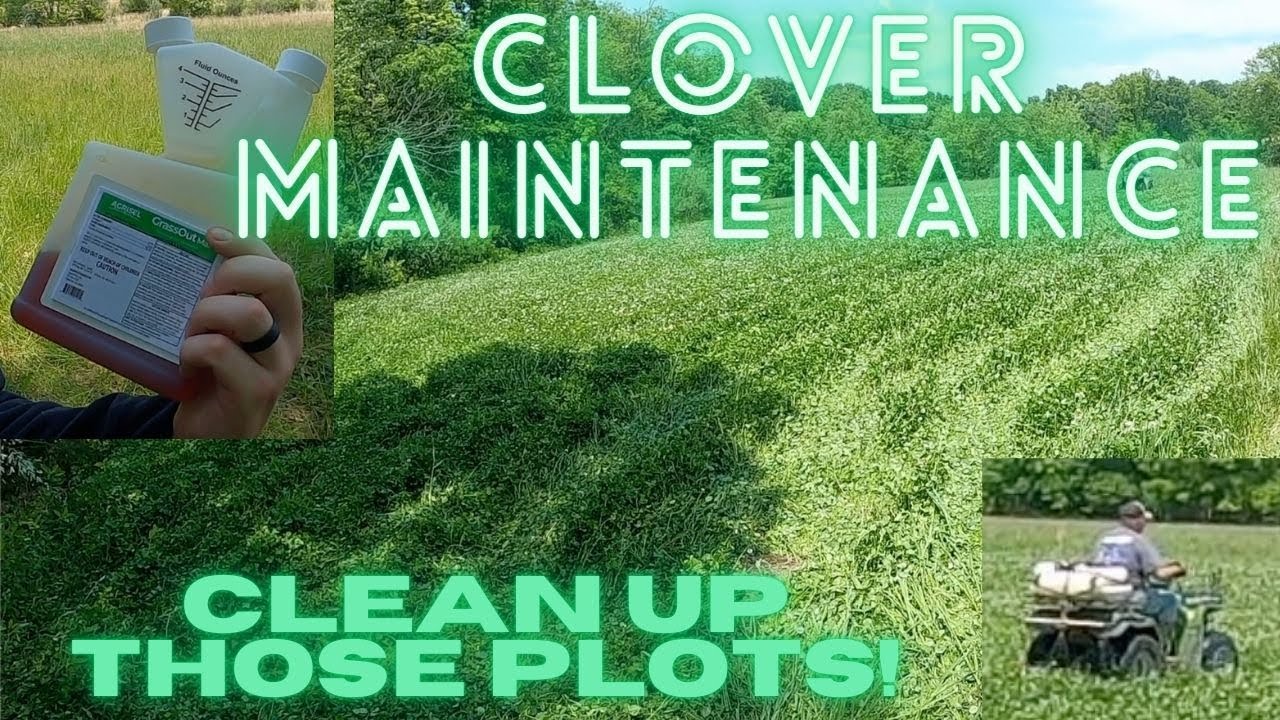 Spring Clover Plot Maintenance | Spraying Clover | Food Plots - YouTube