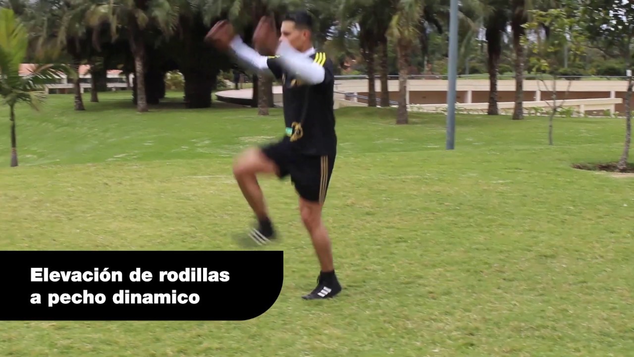 Elevación de rodillas a pecho dinámico - YouTube