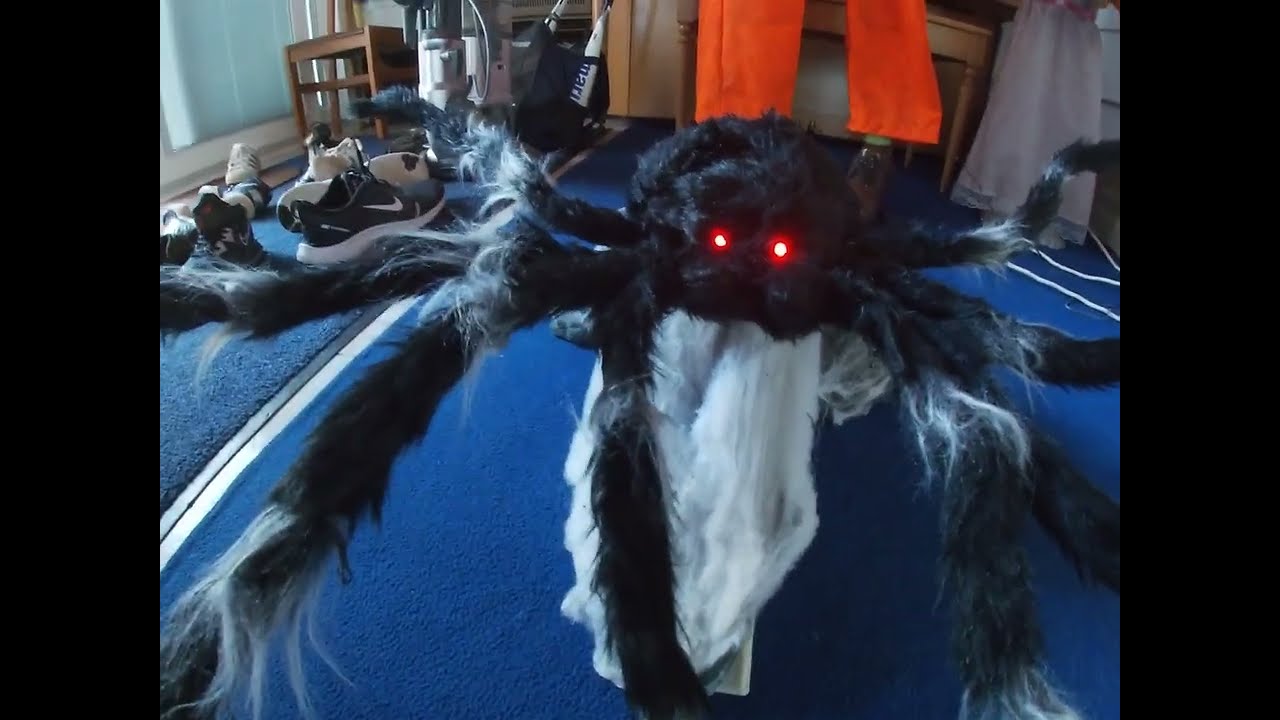 Jumping Spider Demo!!! - YouTube