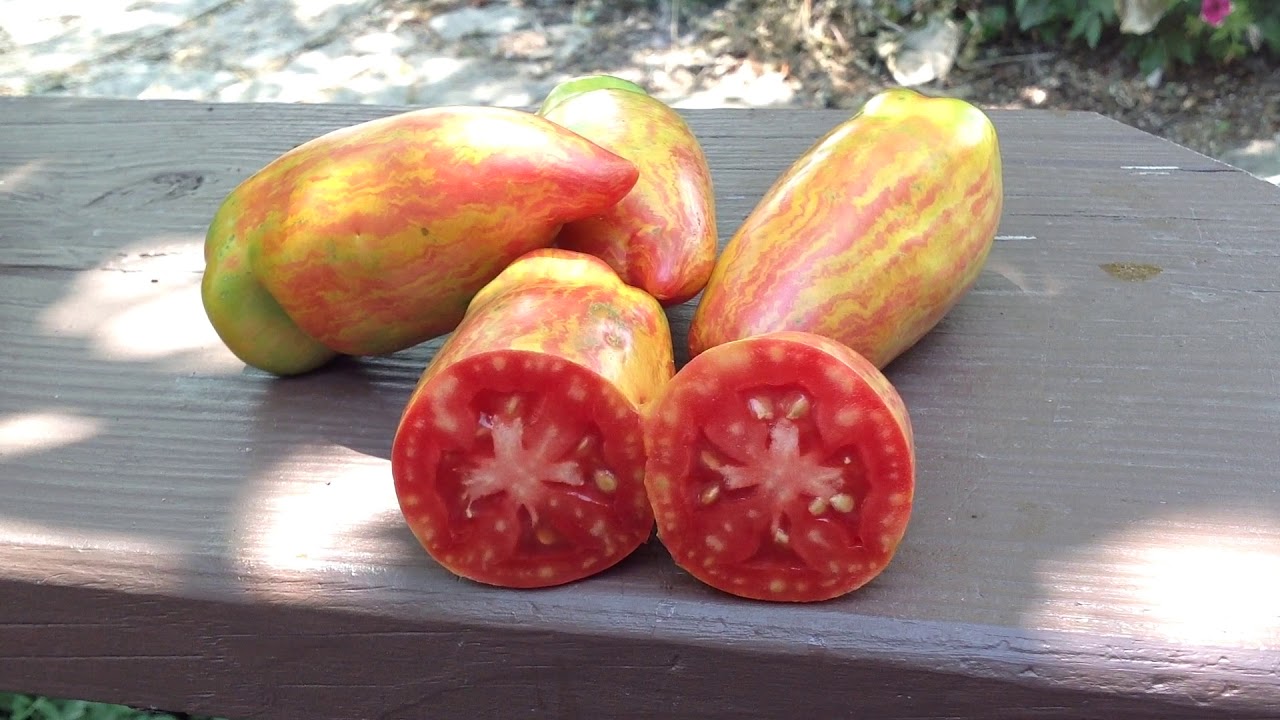 Fuego Rosa Tomato Huge Sauce And Paste Tomato Beautiful And Tasty ...