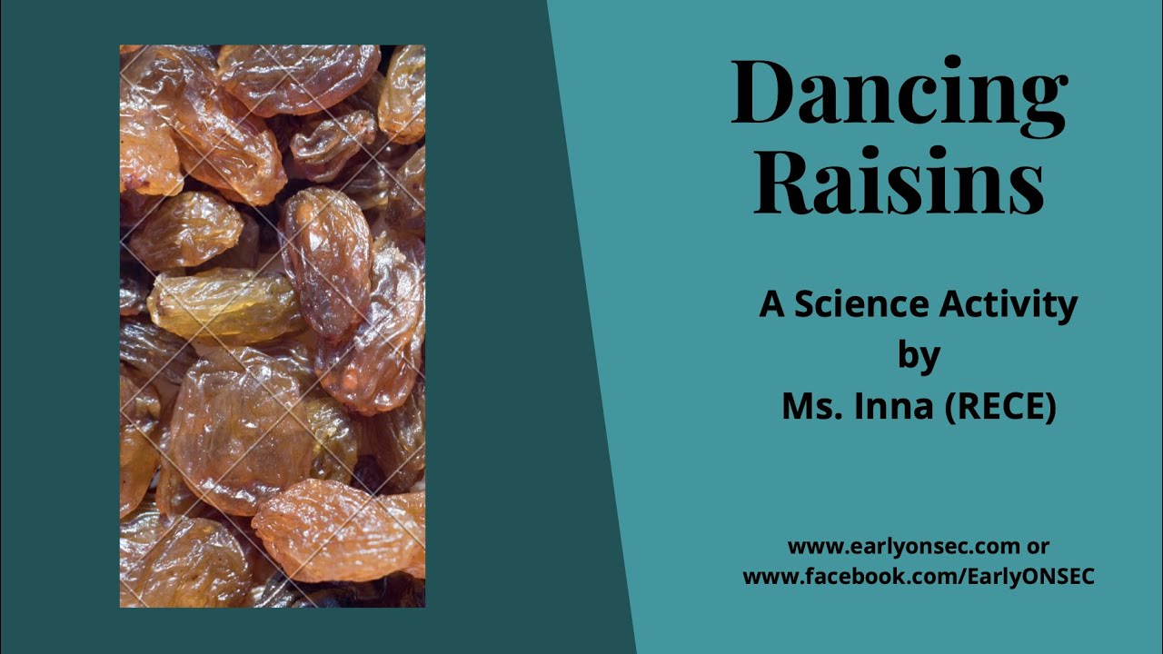 Science Activity: Dancing Raisins with Ms.Inna - YouTube