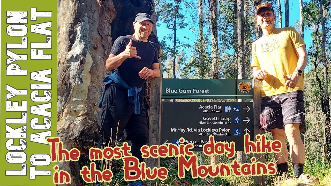 Hiking | Lockleys Pylon to Acacia Flat - Return | Blue Mountains NSW ...