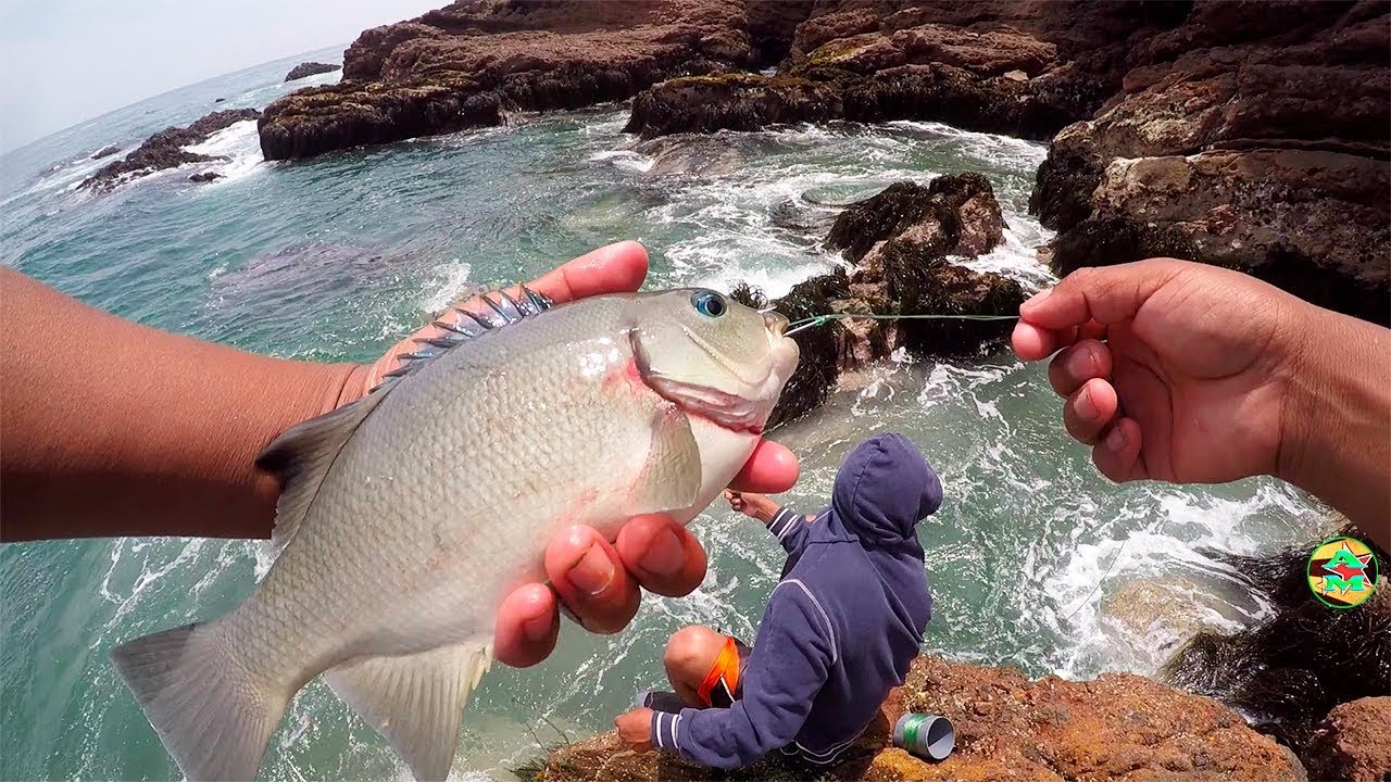 Pescando en el Mar - And Moll Bailando - YouTube