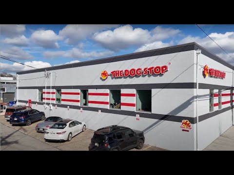 The Dog Stop Difference - The Strip District - YouTube