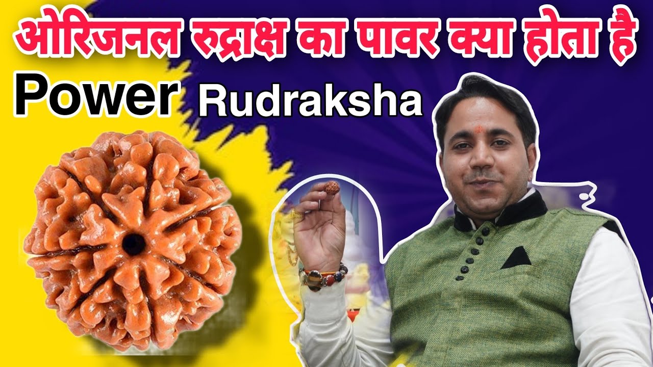 world Best Rudraksha Shop || Kheteshwar Rudraksha And Astrology ...