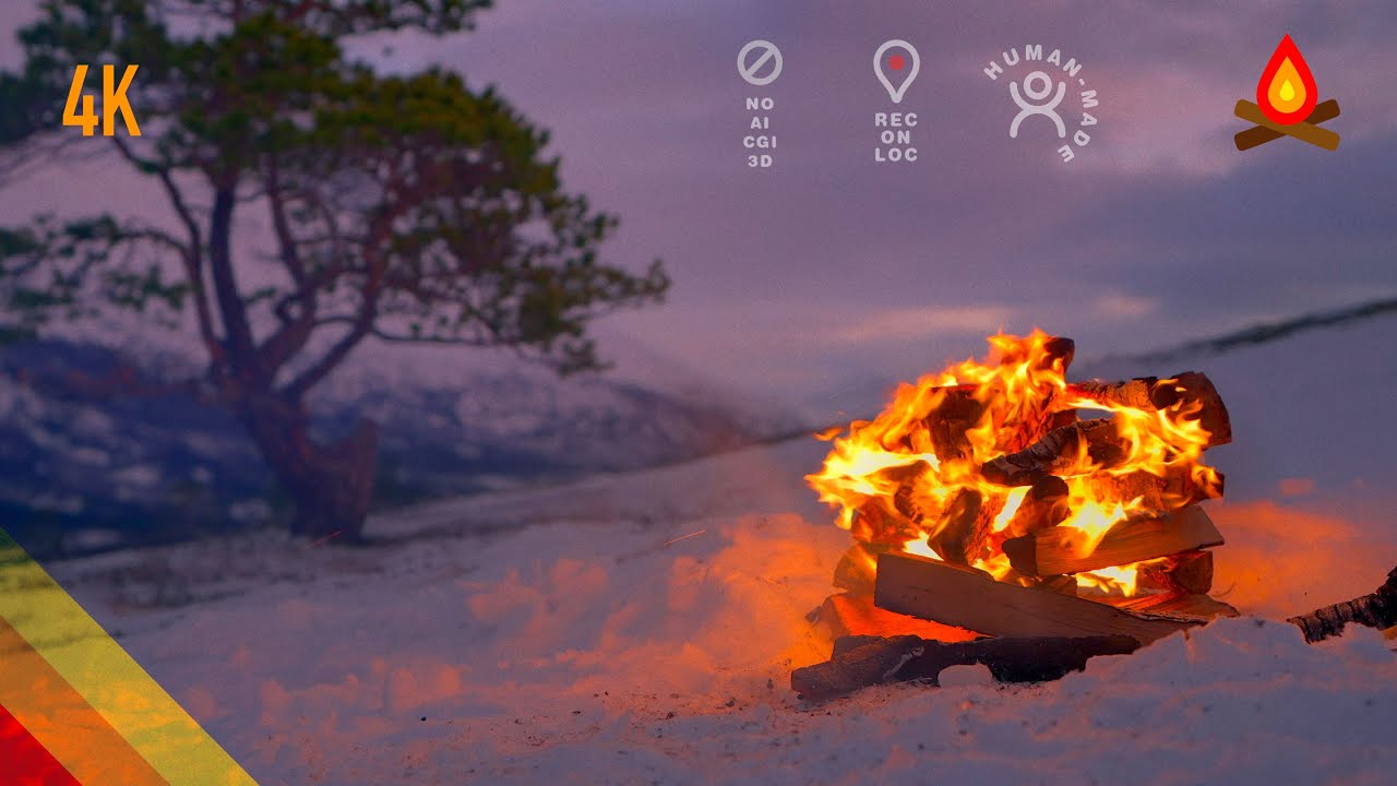 Windy winter campfire by a beautiful, crooked tree (12 hours –mid-roll ...