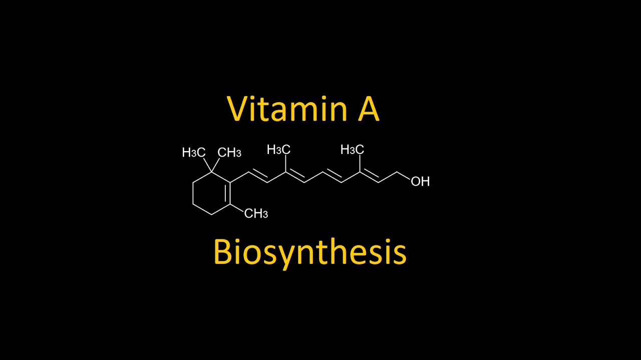 Vitamin A (retinol) Biosynthesis - YouTube