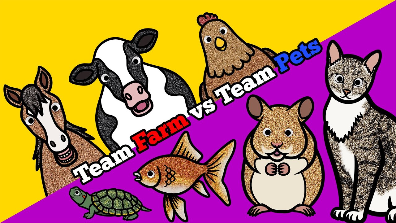 Farm or Pet? | Learn What Animals Live On The Farm and What Animals ...