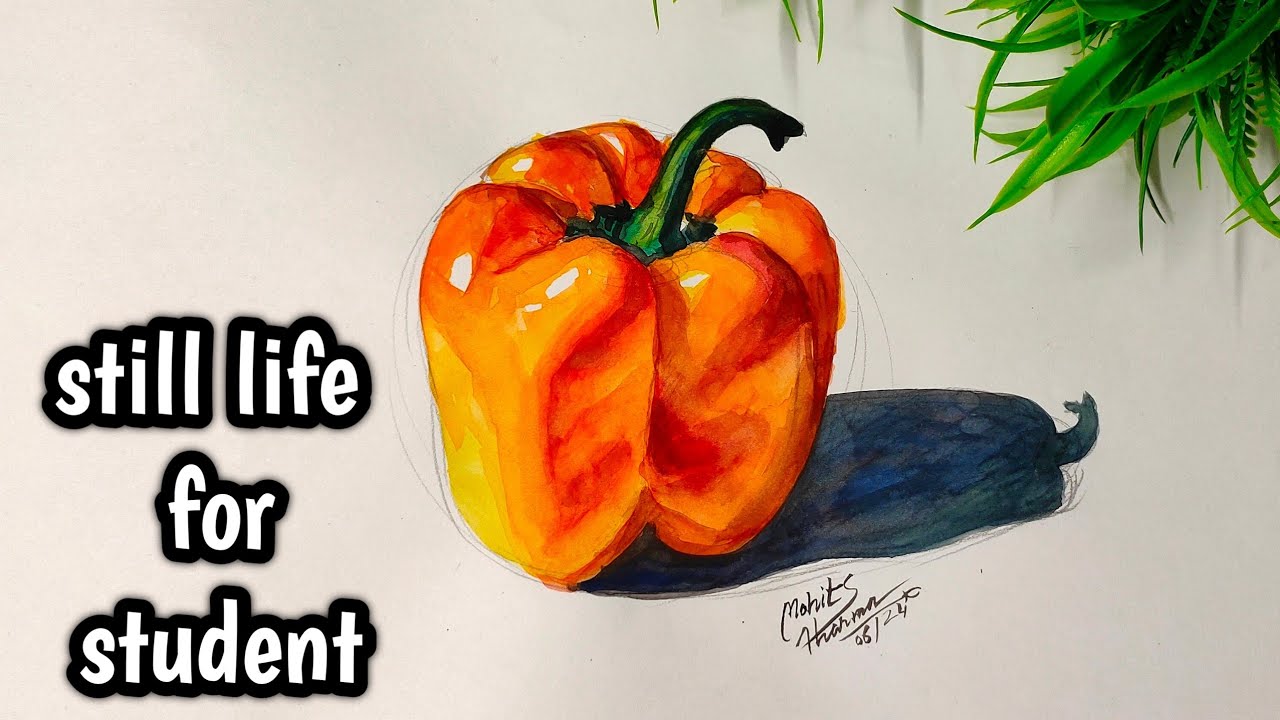 Still life for student / by Mohit Sharma #viral - YouTube