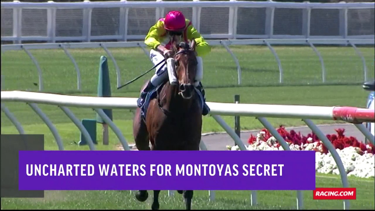 Sky Racing Update, Thursday, March 23rd, 2017 - YouTube