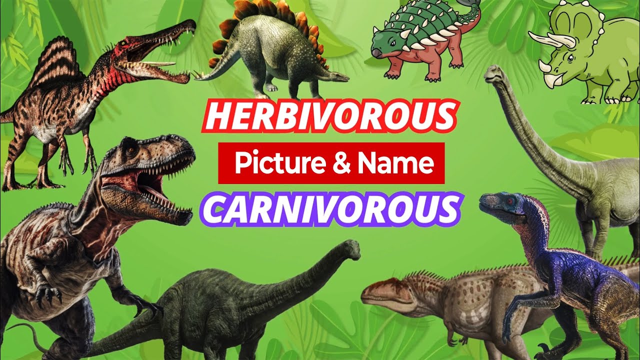 Plant-Eaters and Meat-Eaters Dinosaurs picture and names - Dinosaurs ...