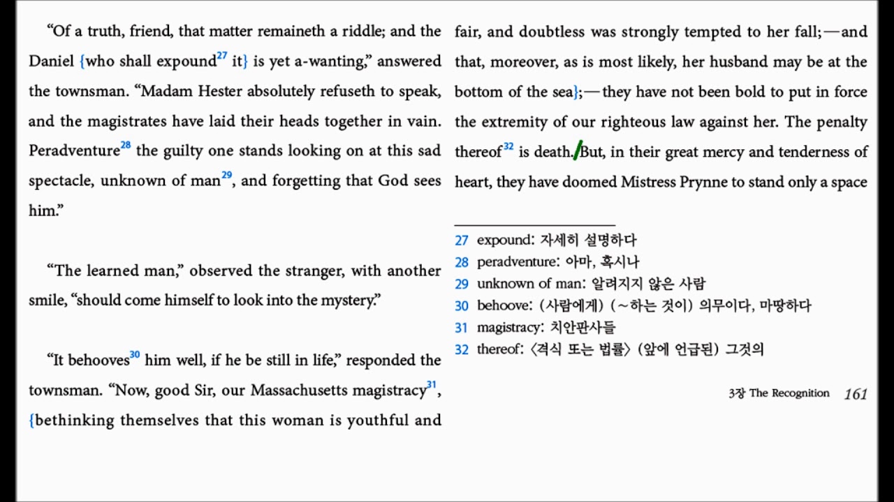 The Scarlet Letter Ch3 The Recognition 6 (p161)(1권) translated by Hyun ...