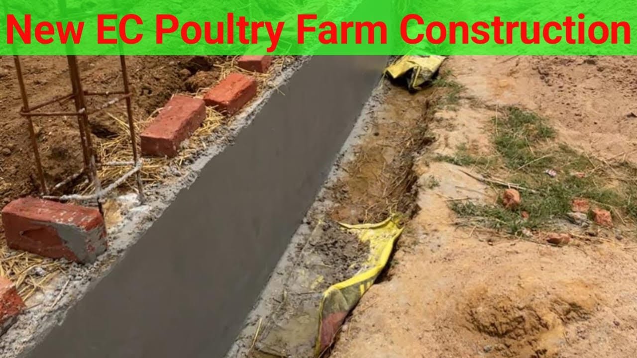 New EC Poultry Farm Construction | EC Poultry फार्म कैसे बनाए ? - YouTube