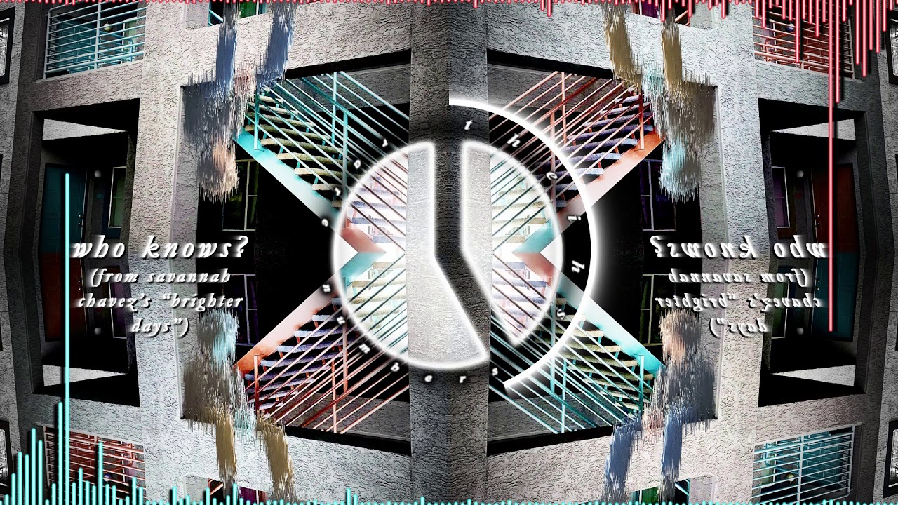 Who Knows? || Rare Numbers (2019) - YouTube