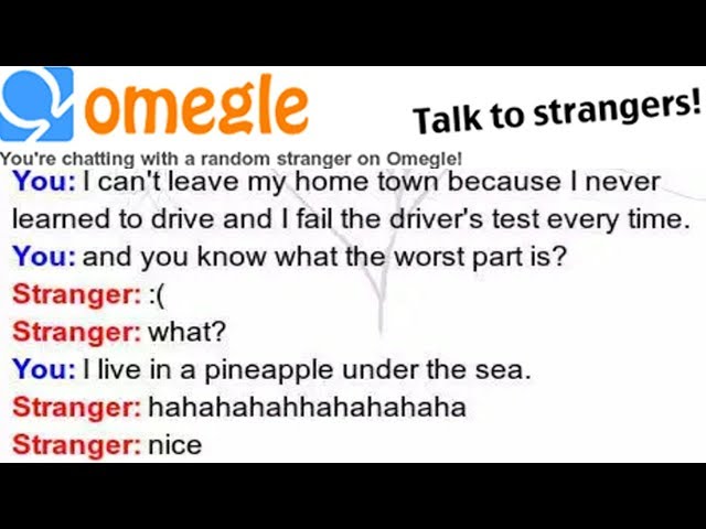 Funny Omegle Conversations