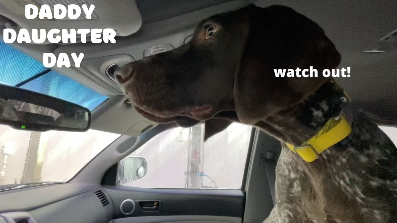 Puppy Was Grumpy After Being With Dad & Took It Out On Mom | 9 Months ...