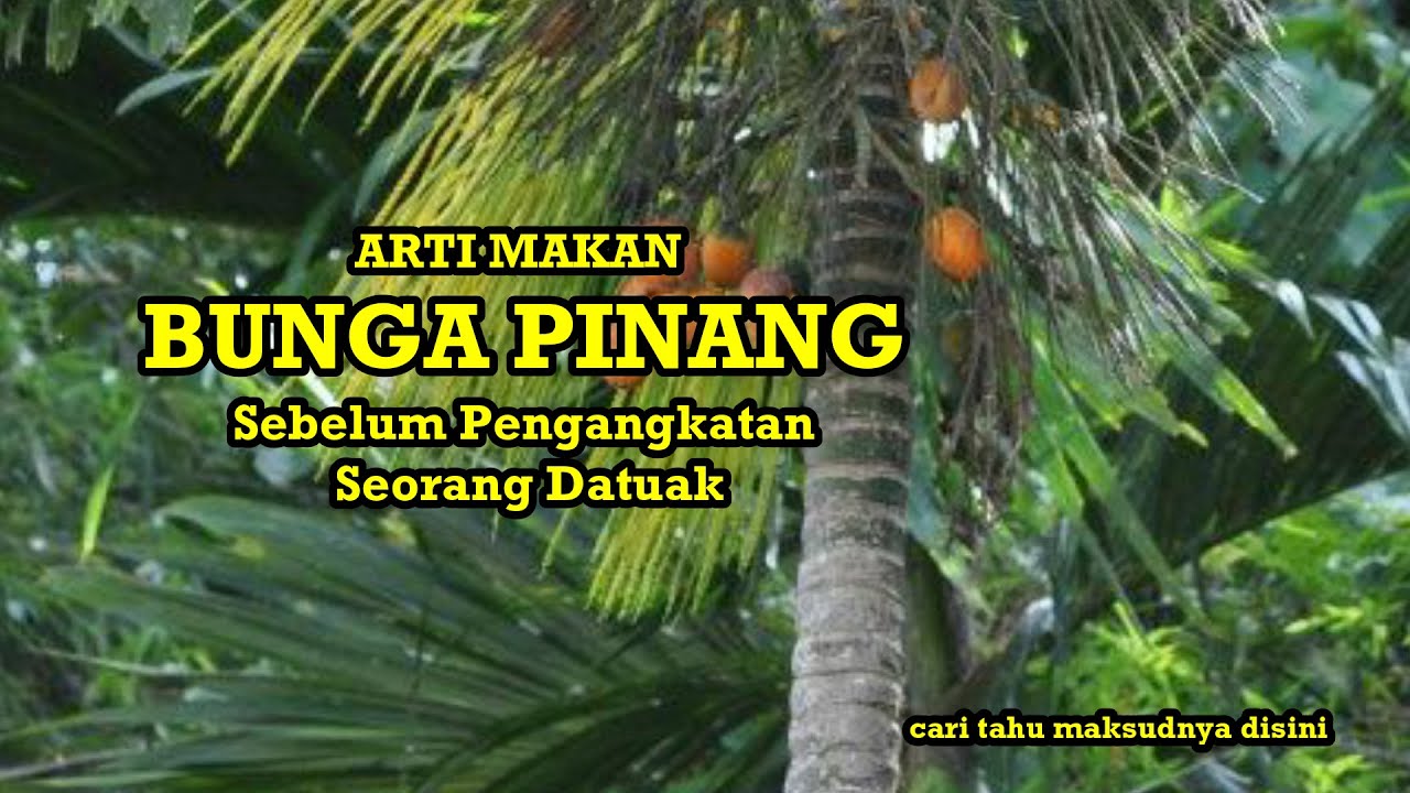 BUNGA PINANG - YouTube