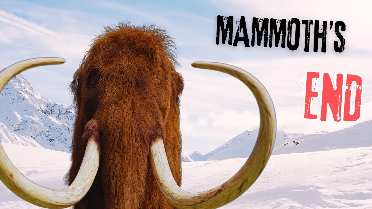 The Return of the Woolly Mammoth? - YouTube