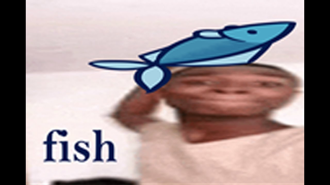 Fish - YouTube